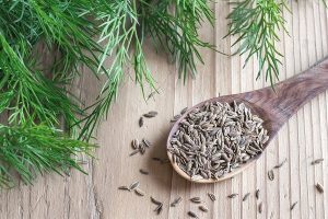 Dill, endro ou aneto: como usar este tempero - bemafiada.com