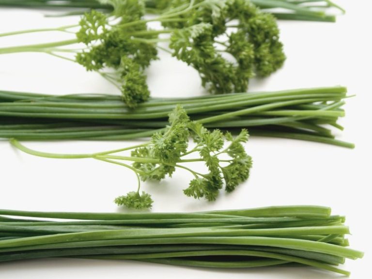 O que é cheiro verde - bemafiada.com