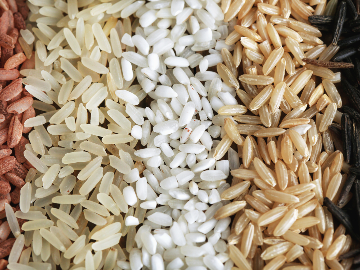 Tipos de arroz - bemafiada.com