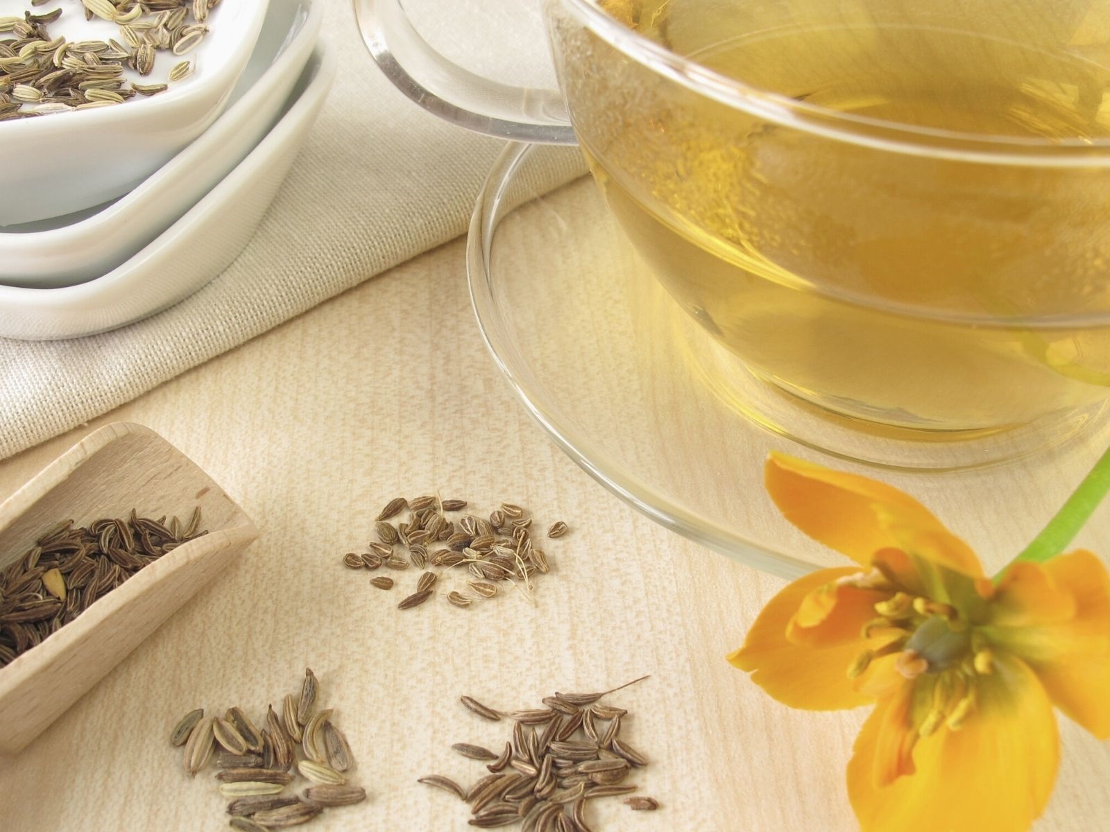 Funcho e erva-doce - bemafiada.com