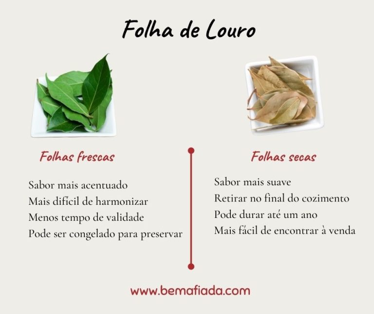 Folha de louro: além do feijão - bemafiada.com